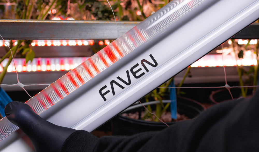Faven Lighting