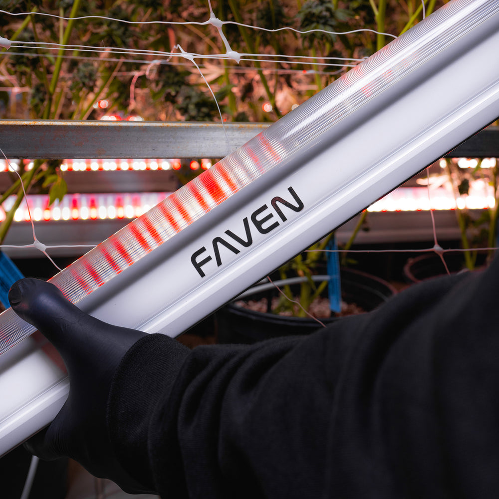 Growing with Faven Guide