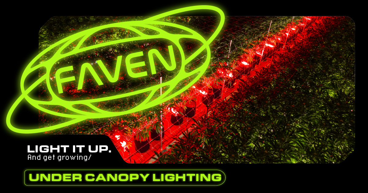 About Faven Lighting